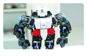 Enquiry - Robotics Training for kids - Leap Robots